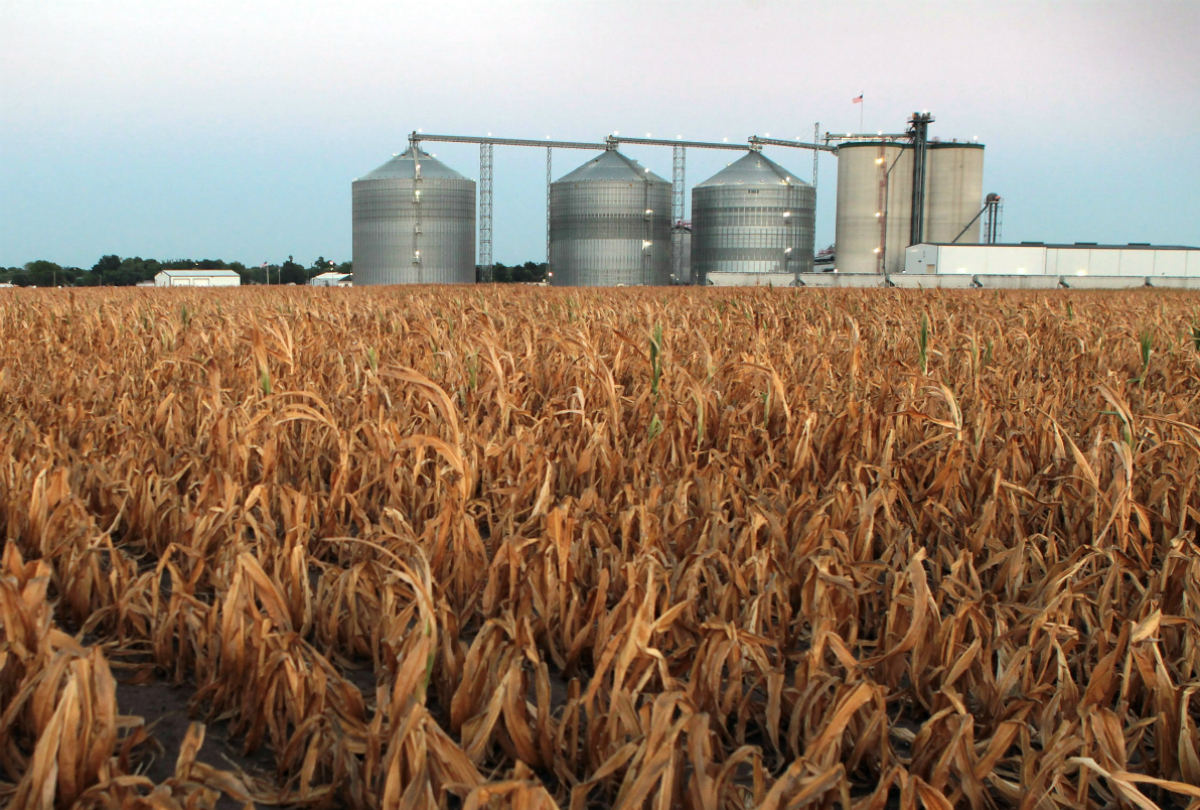 Indigenous Group Plans $451 Million Biofuel Refinery in Canada ...