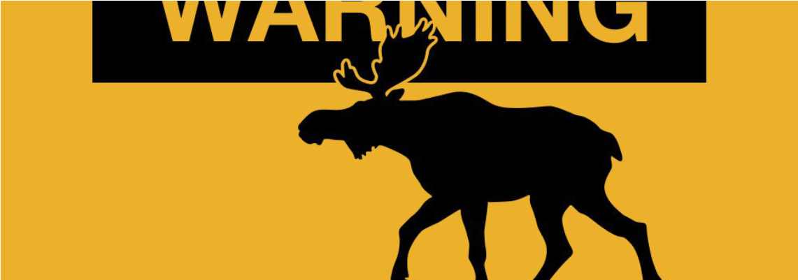 OH DEER! WHAT YOU NEED TO KNOW ABOUT ALBERTA WILDLIFE SIGNAGE - IDENT ...