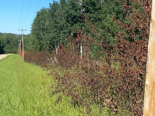 Feature Service: Brush Control on Pipelines, Roads, and ROW’s - Learn ...