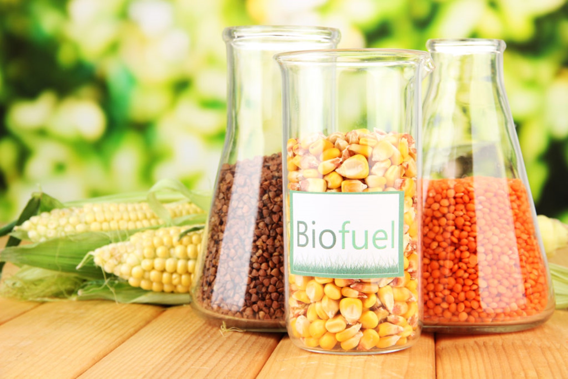 Biofuels Industry in Canada and the U.S. - Just Starting or Just Ending ...