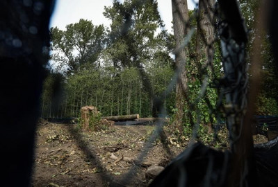Trans Mountain pipeline fine for bird disturbances upheld while penalty ...