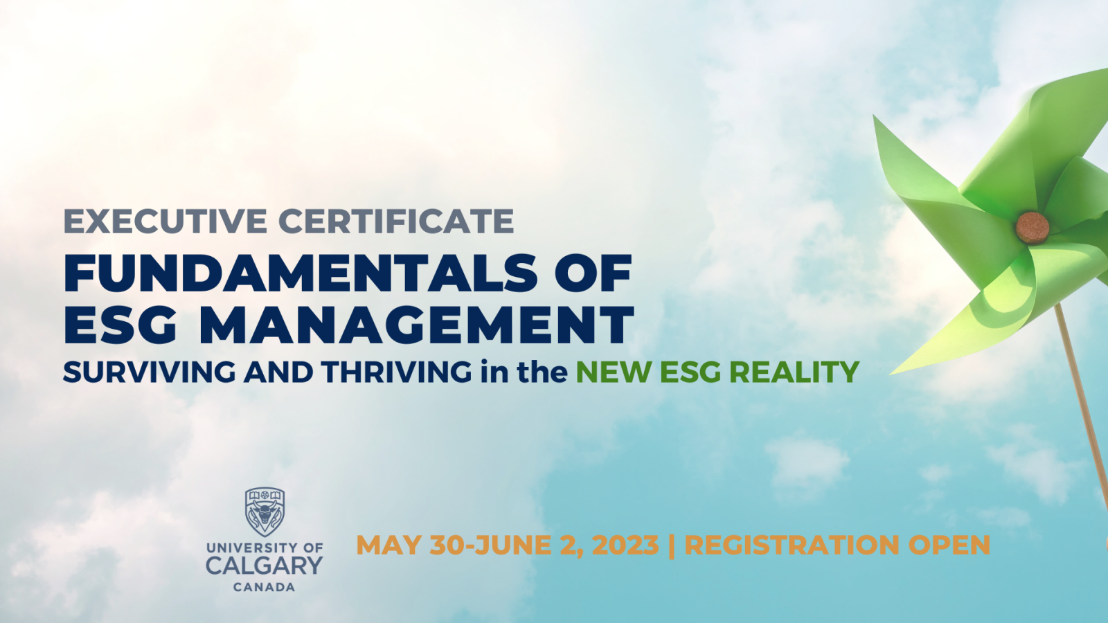 Executive Certificate: Fundamentals of ESG Management - The School of ...