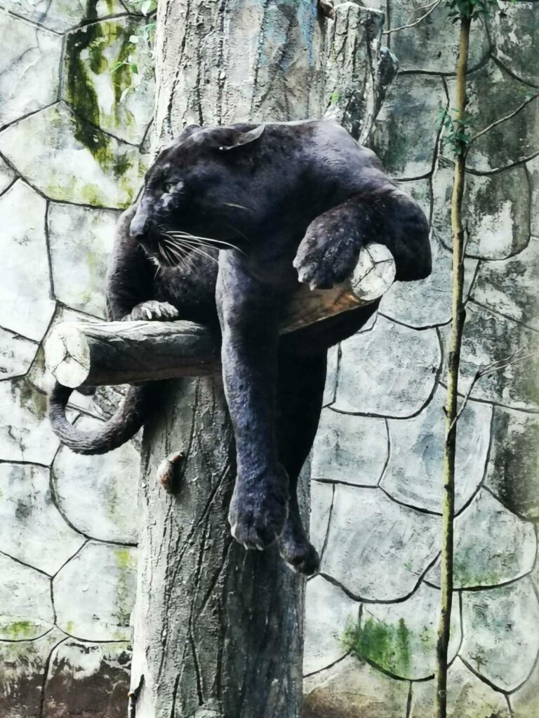 Commentary: Sustainable and Inclusive Devastation – Irina Slav ...