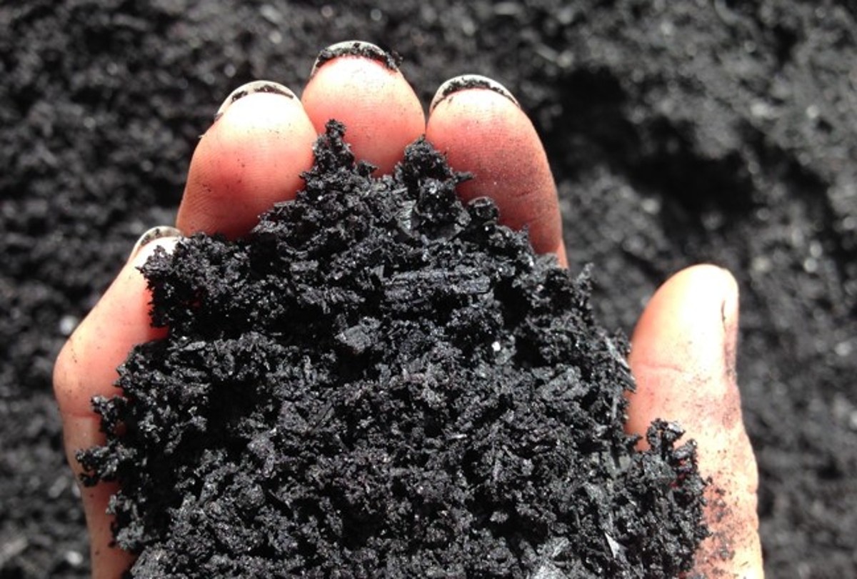 North America’s Biggest Biochar Plant Takes Shape in Canada - Canadian ...