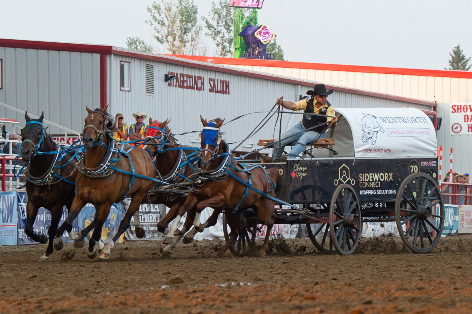 Celebrating Chanse Vigen: A Remarkable Season in the World of ...