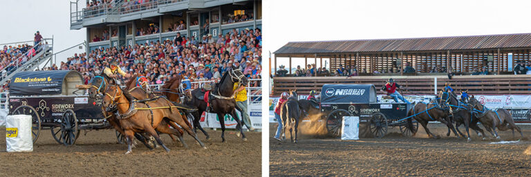 Celebrating Chanse Vigen: A Remarkable Season in the World of ...