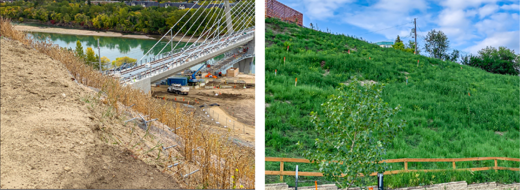 CASE STUDY: Transformative Slope Stabilization with Tough Cell® Geocell ...