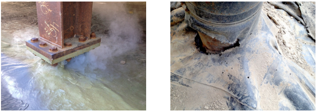 HALO'S SIMPLE SOLUTION: Did You Know Halo Has a Simple, Cost Effective ...