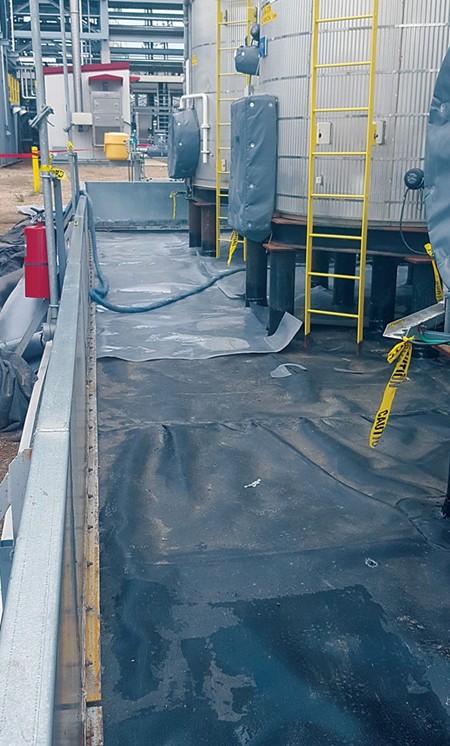 HALO'S SIMPLE SOLUTION: Did You Know Halo Has a Simple, Cost Effective ...