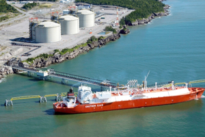 B.C.'s future LNG outlook dims after $36B Pacific NorthWest LNG project ...